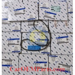 GENUINE FORD TIMING BELT CHAIN HG9Q6K288AB, HG9Z6268B