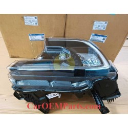 GENUINE FORD HEADLAMP AND FLASHER RH N1WB-1300-5CC, N1WZ-13008-AA